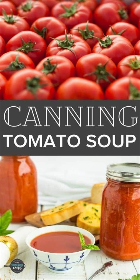 30 Tomato Canning Recipes To Preserve The Harvest Artofit