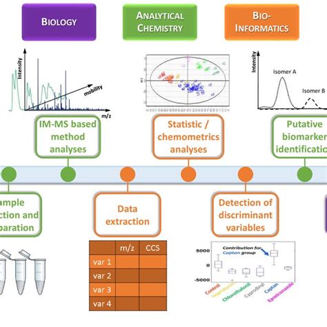 Four Main Types Of Ion Mobility Instruments IMS Ion Mobility Download Scientific Diagram