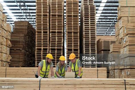목조 창고 창고에서 노트북 컴퓨터를 작업하는 남성 및 여성 창고 직원 그룹 선반 팔레트 창고에서 작업 논의 및 교육 창고 작업자 팀 20 24세에 대한 스톡 사진 및 기타