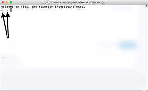 Steal Nice Fish Prompt For Use In Bash Fishshell