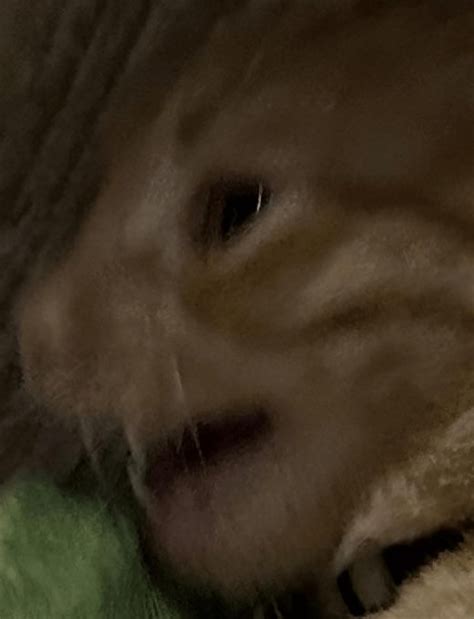 Uncle Lemon Is The Best Teacher R Oneorangebraincell