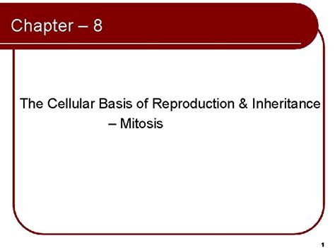 Chapter 8 The Cellular Basis Of Reproduction Inheritance