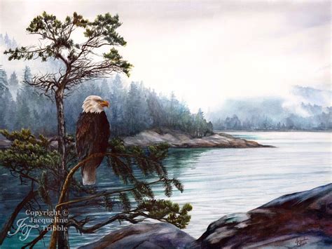 Print Bald Eagle Watercolor Painting Pnw Art Bird Painting Eagle