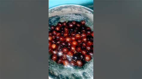 Rasugulla S Party Salmankhanpoojahegde Song Bollywood Kisikabhaikisikijaanhindicollection