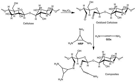 Recent Advances In Cellulose Based Biosensors For Medical Diagnosis