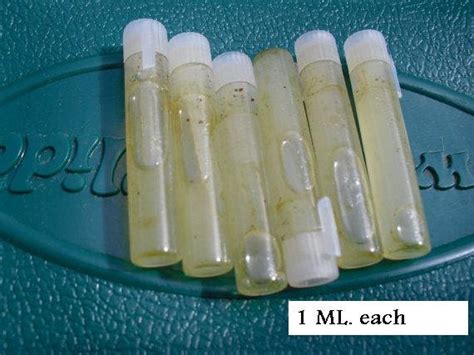 Multi Listing Honey Bee Swarm Lures Baits For Trap Or Hive Beekeeping