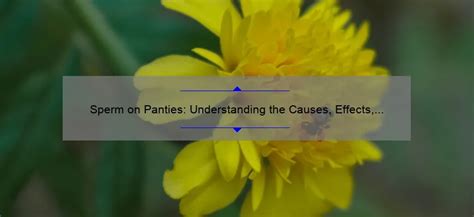 Sperm On Panties Understanding The Causes Effects And Solutions