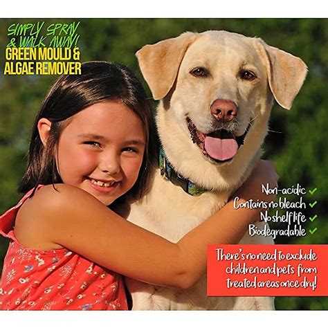 Pro Kleen Patio Cleaner Simply Spray And Walk Away Green Mould And