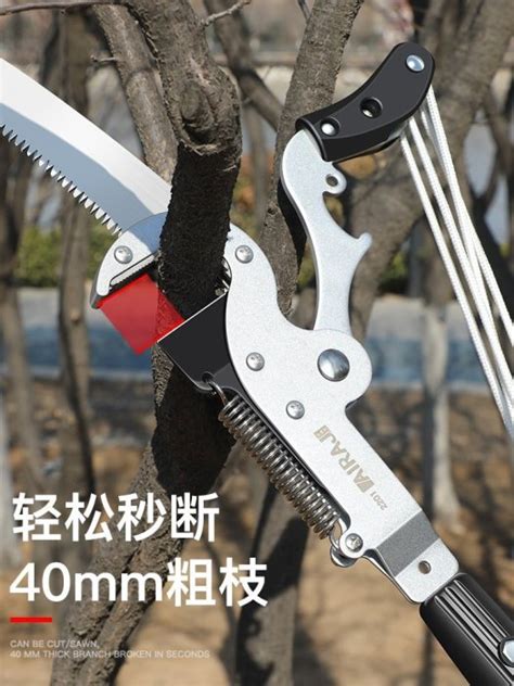 高枝剪園林伸縮高空剪修剪樹枝剪刀果樹枝鋼刀頭加長鋸樹修枝神器 Yahoo奇摩拍賣