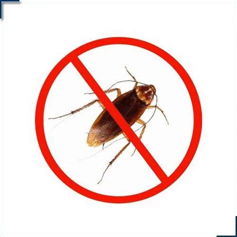 Cockroach Pest Control Services At Rs 700service कॉकरोच पेस्ट