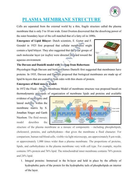 Plasma Membrane Structure A Brief Description Of Membrane Lipids