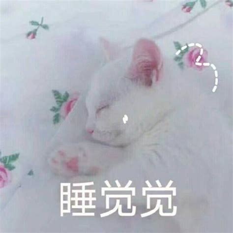 套路都一樣，但愛你是真的：戀愛女生撒嬌表情包 每日頭條