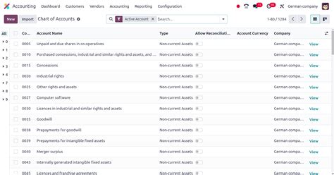 An Overview Of Accounting Localization For Germany In Odoo 17