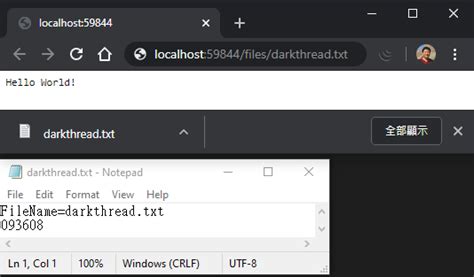 ASP NET Core 基礎 使用靜態檔案 黑暗執行緒