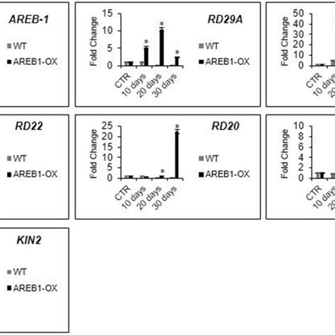 Schematic Representation Of The Strategy Of Crispra Mediated Areb 1
