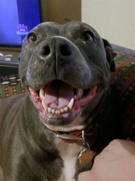 My Sweet Raya Sunshine I Love Her Big Smile So Much Rvelvethippos