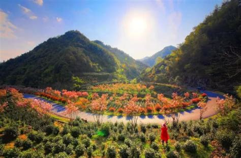 磐安最值得去的景点 磐安旅游景点大全 磐安景点 大山谷图库