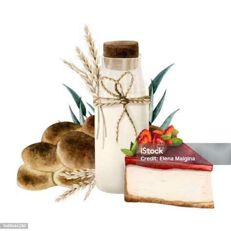 수채화 Shavuot 기호 인사말 카드 템플릿에는 우유병 밀 딸기 치즈 케이크 할라 빵 유칼립투스 잎이 있습니다 손으로 그린 그림 클립 아트는 흰색에 분리되어 있습니다