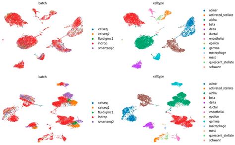 IMGG: Integrating Multiple Single-Cell Datasets through Connected Graphs and Generative ...