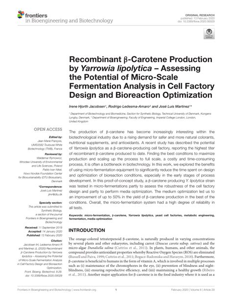Pdf Recombinant β Carotene Production By Yarrowia Lipolytica