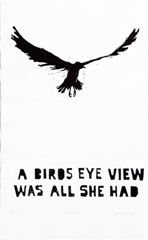 Solander Gallery A Birds Eye View Was All She Had