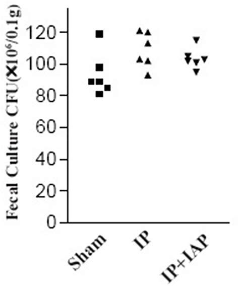 Colony Forming Unit Cfu Counts In The Animals Very Dilute 1 1 ×