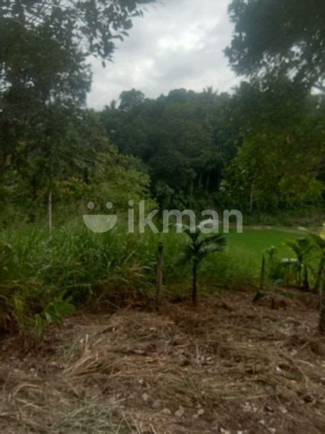 Land For Sale Mawanella Ikman