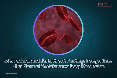 Mch Adalah Indeks Eritrosit Penting Pengertian Nilai Normal