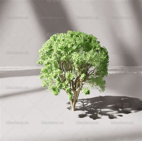 Blender树木blender布的模型84 Blender布的