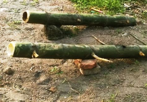 Long Bumbung Eksotika Desa