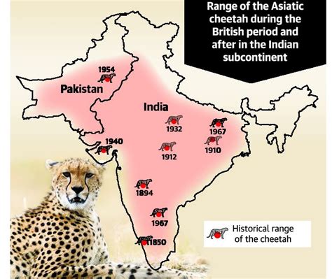 Cheetah Range