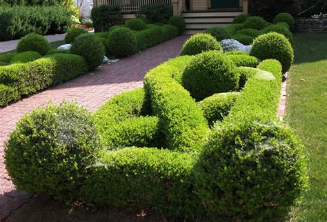 Landscaping With Boxwood Hedges