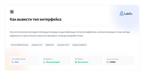 Как вывести тип интерфейса labex