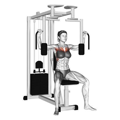 Pec Deck Machine Benefits Muscles Worked And More Inspire US
