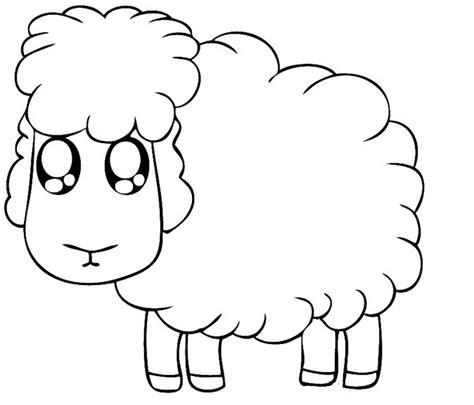 نقاشی گوسفند برای کودکان؛ زیباترین طرح‌ها برای رنگ‌آمیزی ستاره
