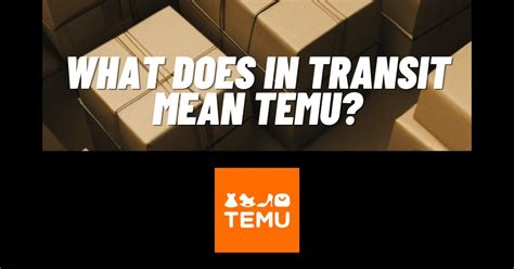 What Does In Transit Mean Temu [explained 2024] Viraltalky
