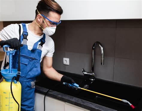 Pest Exterminators Service In Sterling Va Blue Star Solutions