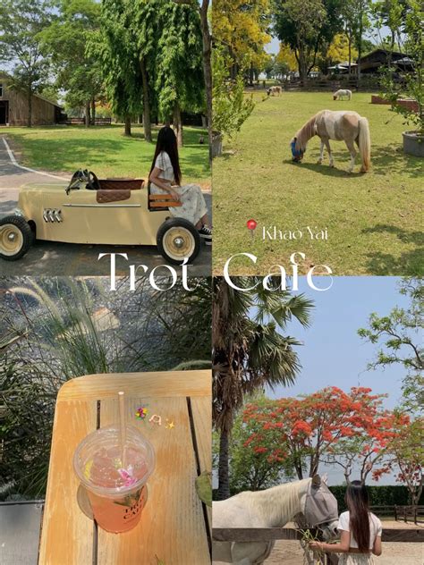 💐 Cafe Trot Cafe Khao Yai 🌳 แกลเลอรีที่โพสต์โดย ⠀pattheemild Lemon8