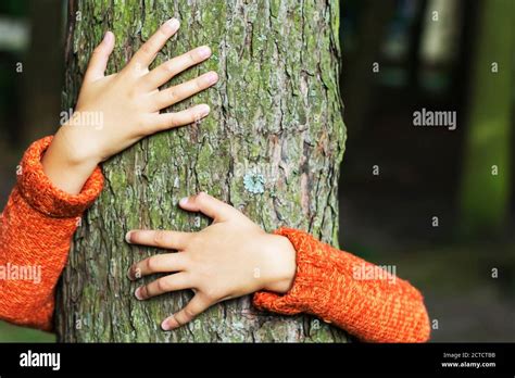 Man Hugging A Big Tree Love Nature Concept Stock Photo Alamy