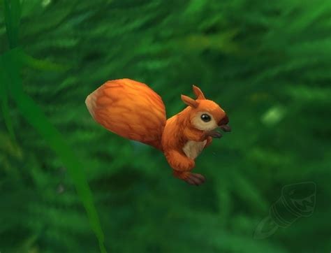 Aw Nuts Quest World Of Warcraft