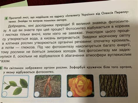 На світлинах зображено органи рослин Зафарбуй кружечок біля того