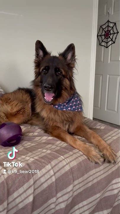 My Inner Girl 🤣 Youtube