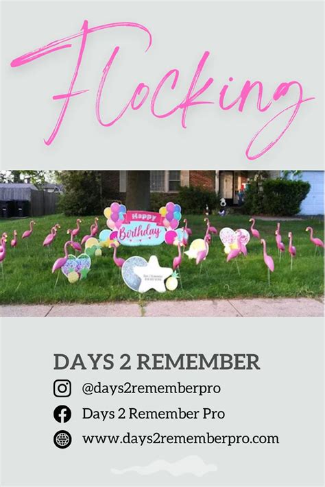 Yard Flocking And Sign Rentals In South Jersey Good Pranks Birthday