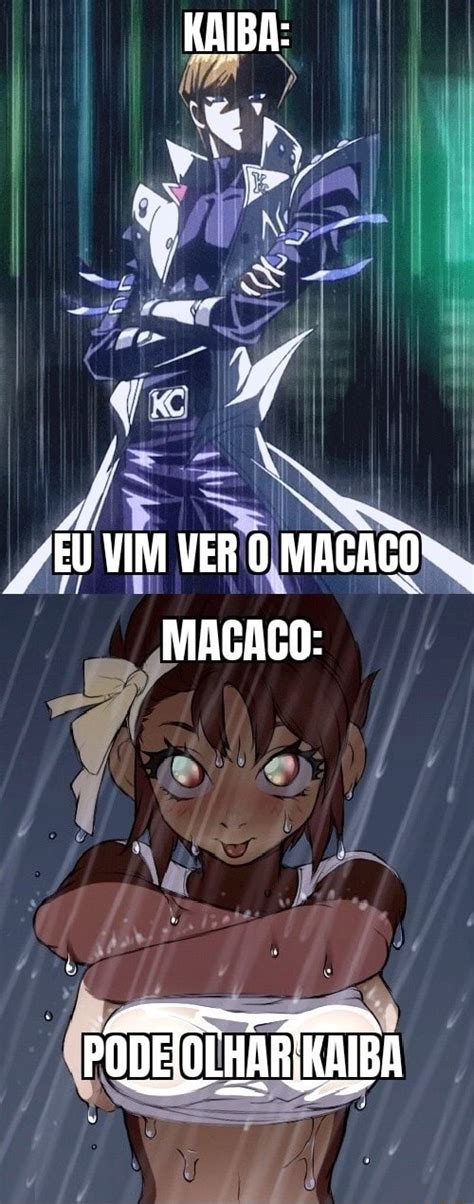 KAIBA VIM VER O MACAÇO MACACO iFunny Brazil