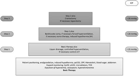Step Based Algorithm For Treatment Of Traumatic Brain Injuries In Download Scientific Diagram