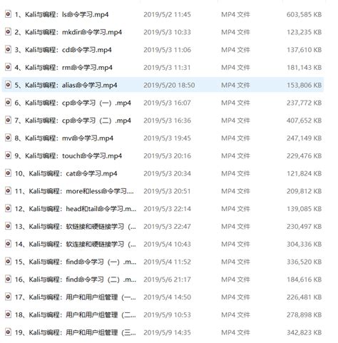 Kali与编程：kali Linux命令大全在线视频教程 Csdn程序员研修院