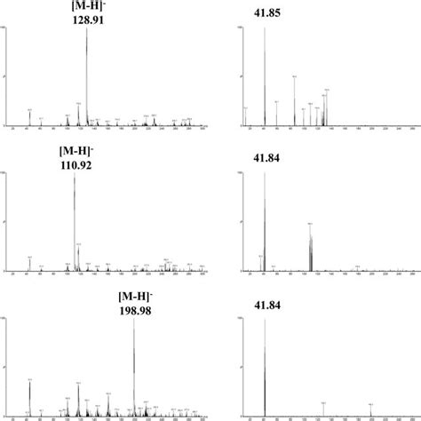 Mass Spectra Of Precursor And Product Ions Mass Spectra Of Each