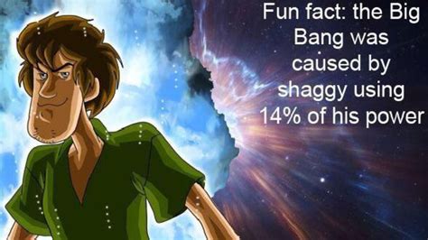 Shaggy Rogers Stoner
