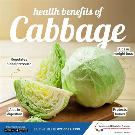 Health Benefits Of Cabbage