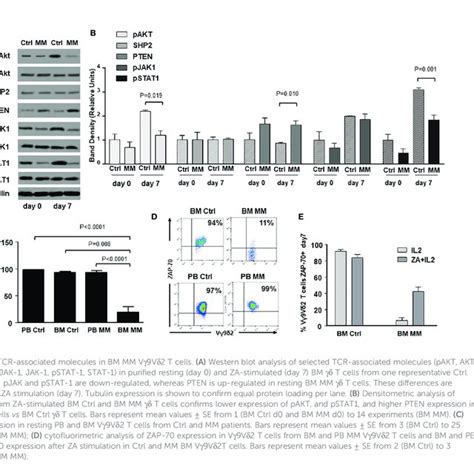 Intracellular Cross Talk Between Pd 1 And Tim 3 In Bm Mm Vg9vd2 T